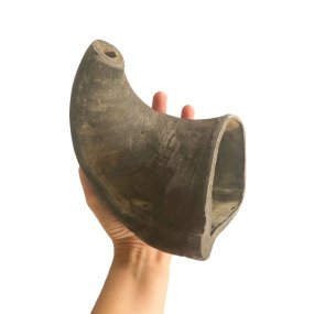 Lord Pet Store e Centro de Estética Animal